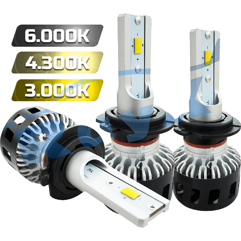 Produtos - RAYX BRASIL Ltda.