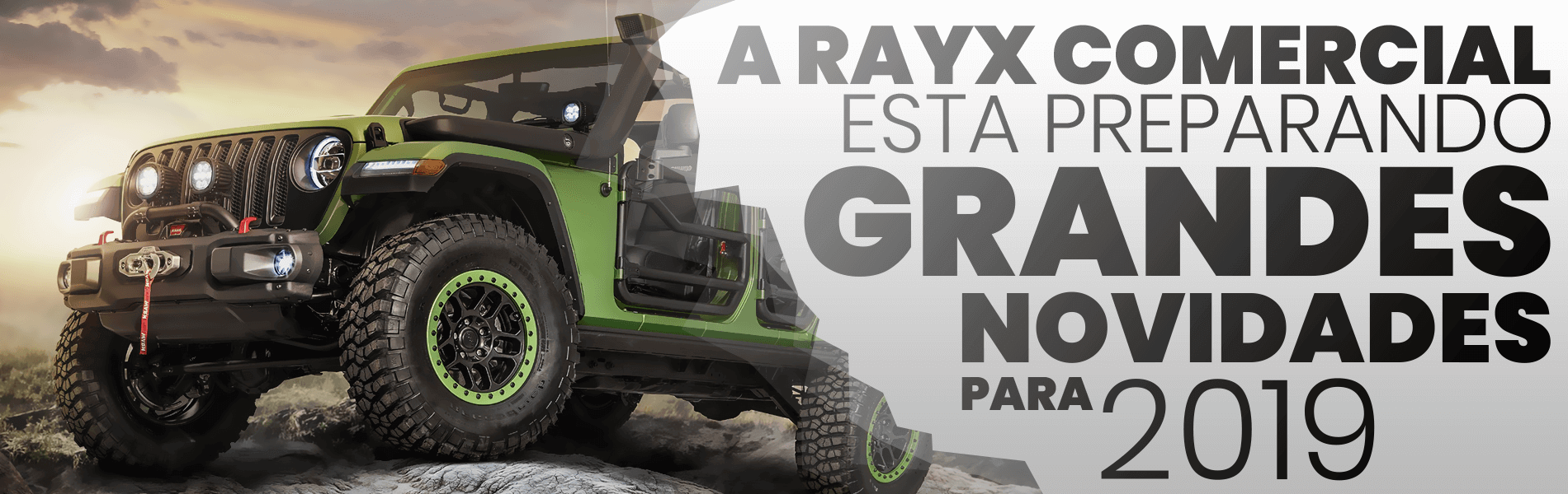 Rayx Comercial Ltda.